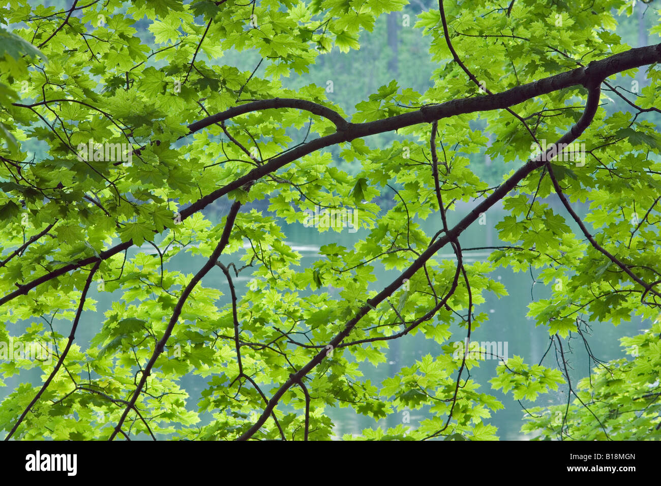 Niagara falls in springtime hi-res stock photography and images - Alamy