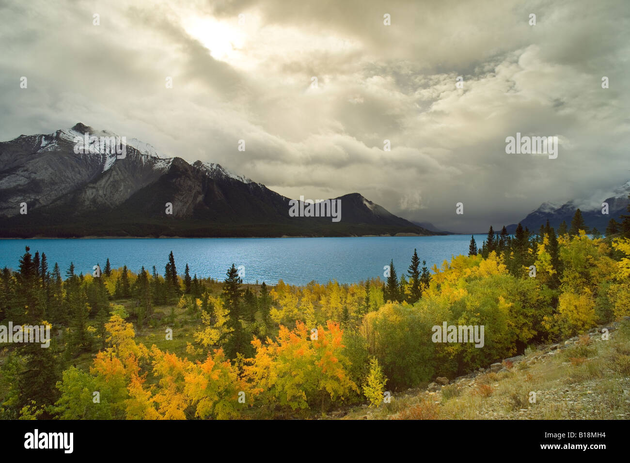 Wiggett hi-res stock photography and images - Alamy