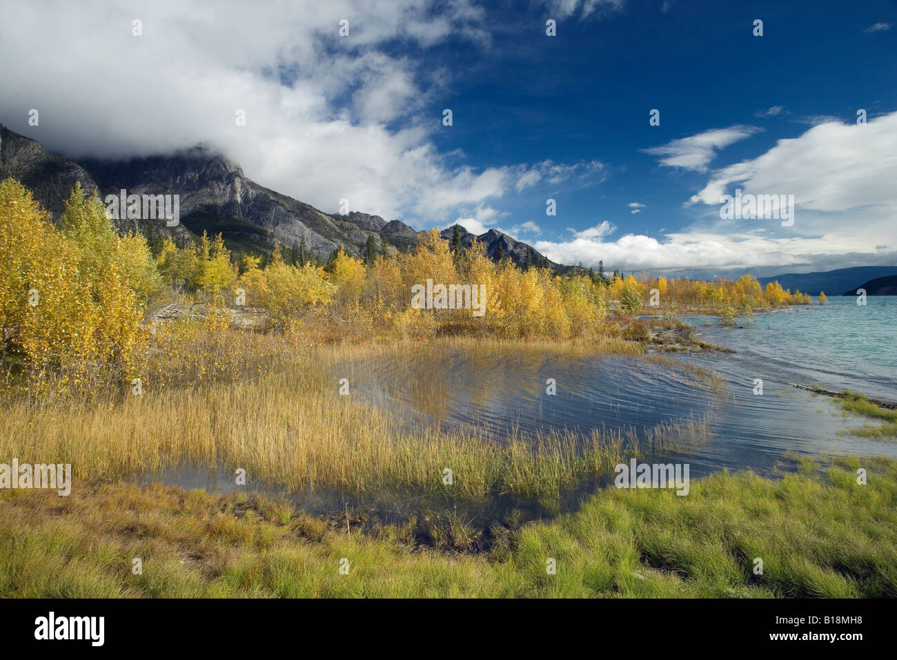 Abraham lake and Mount Abraham with fall colours - Kootenay Plains ...