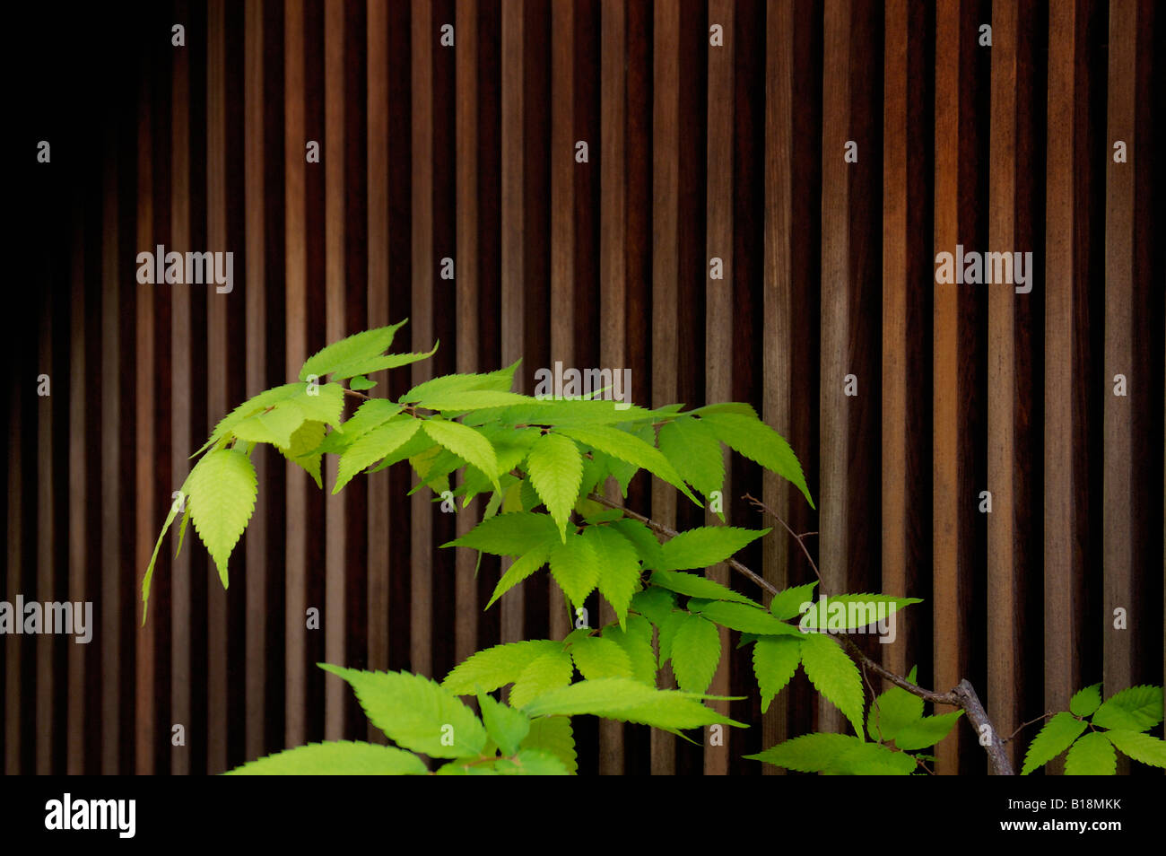 fence Kyoto Japan Stock Photo - Alamy