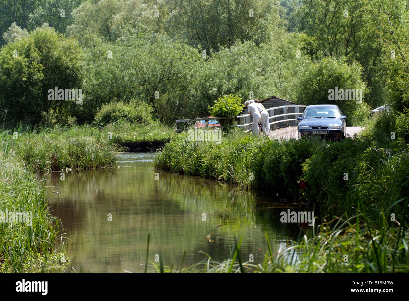 River Test rural English countryside scene Hampshire England UK Stock ...