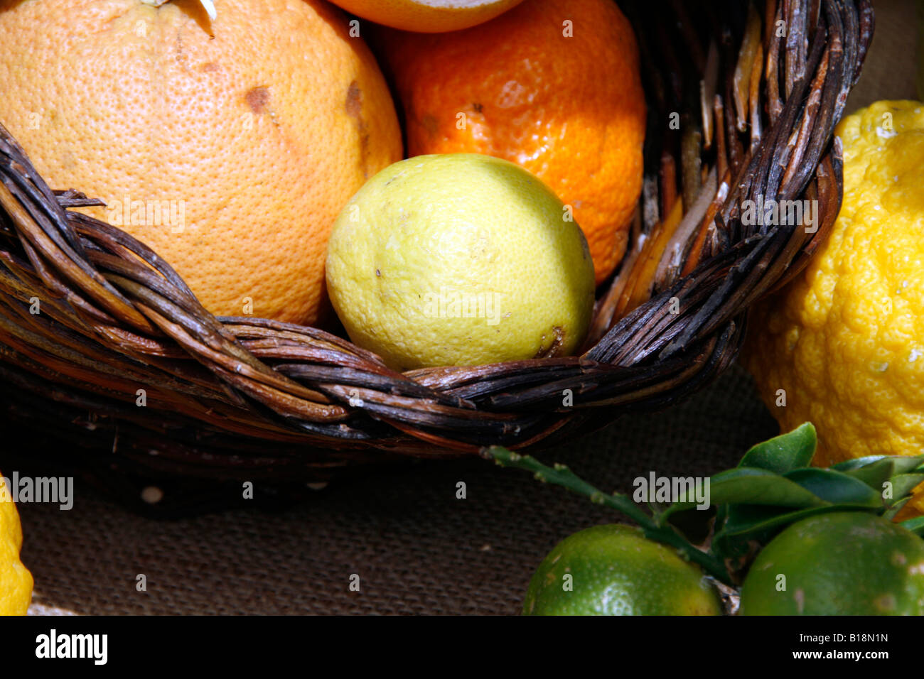 selection of citrus fruit in shopping basket Stock Photo - Alamy
