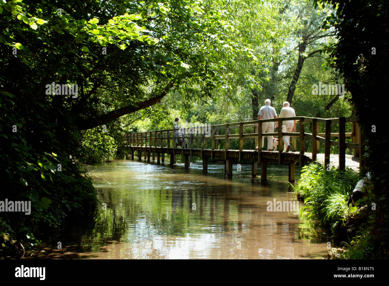 River test hampshire hi-res stock photography and images - Alamy