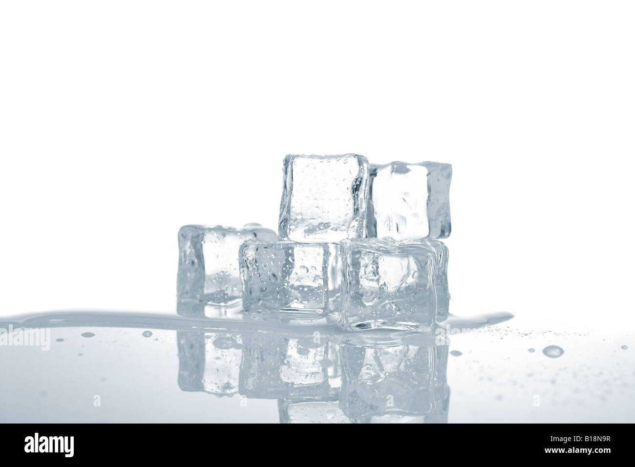 Melting ice cubes in water reflected on white background Shallow depth ...