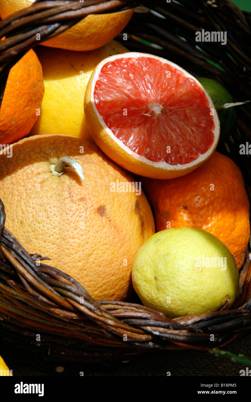 selection of citrus fruit in shopping basket Stock Photo - Alamy