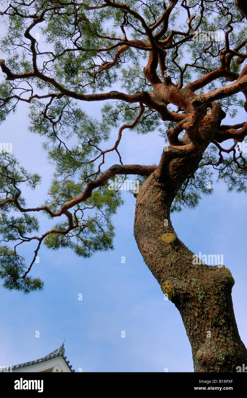 Odd japan hi-res stock photography and images - Alamy