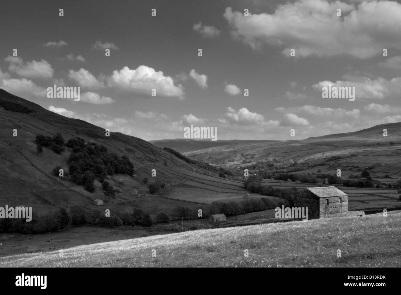 The distinctive and famous barns of Swaledale repeat into the distance ...