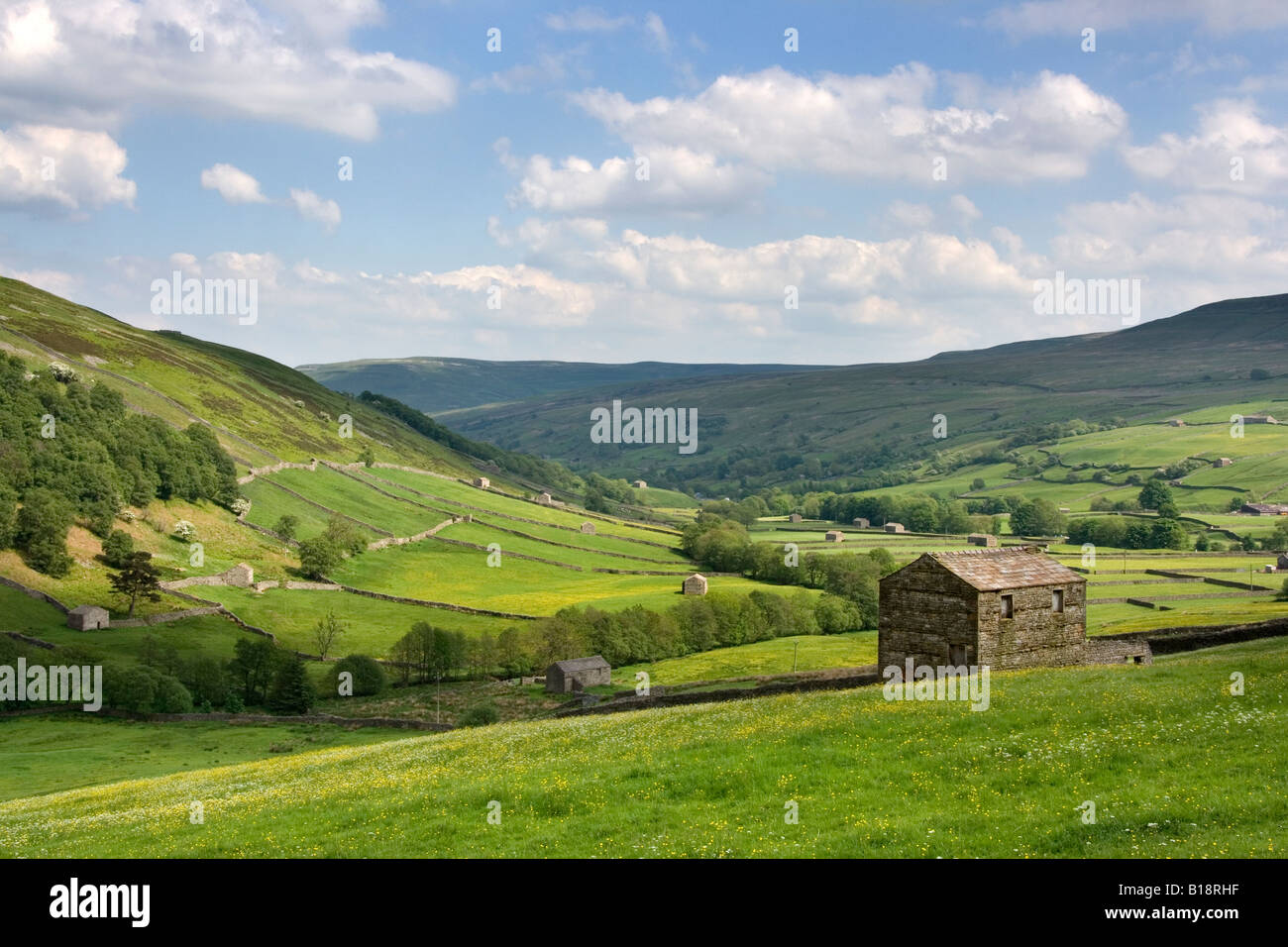 The distinctive and famous barns of Swaledale repeat into the distance ...