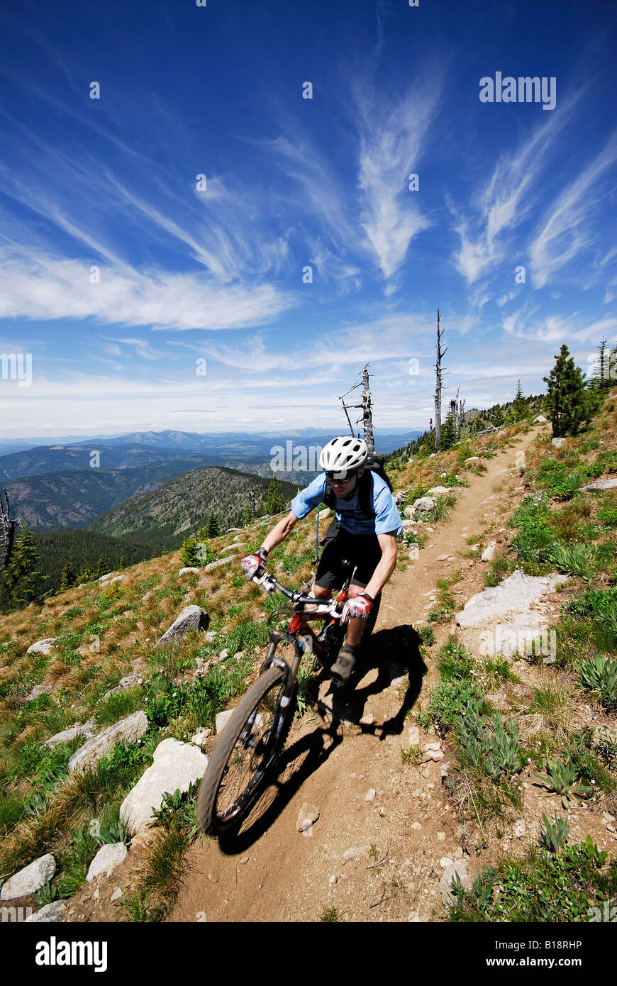 Man bikes the Seven Summits trail, Rossland, British Columbia, Canada ...