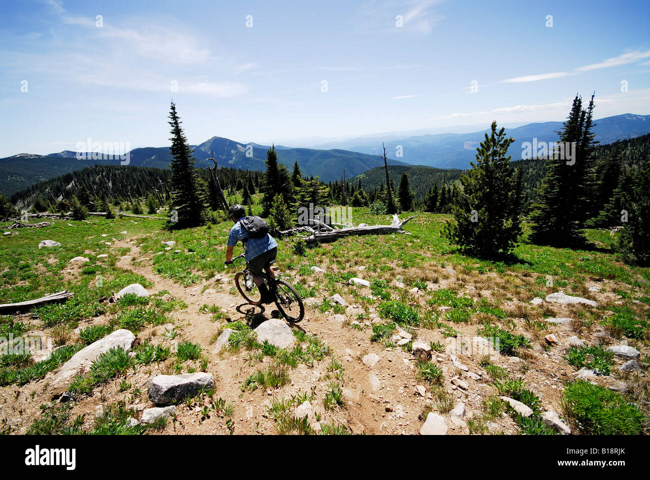Man bikes the Seven Summits trail, Rossland, British Columbia, Canada ...