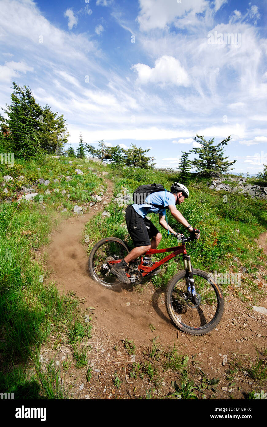 Man bikes the Seven Summits trail, Rossland, British Columbia, Canada ...