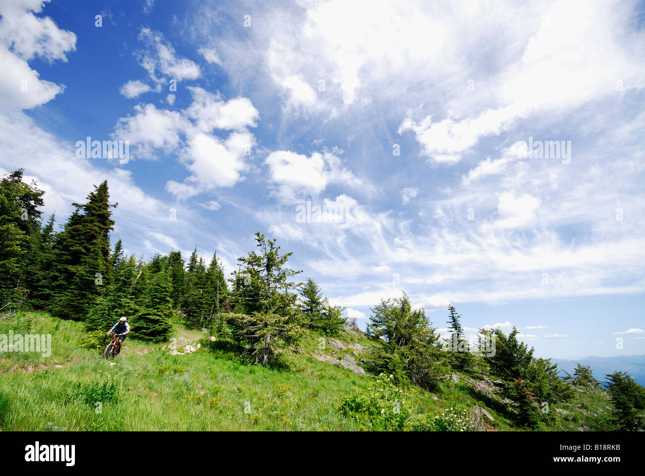 Man bikes the Seven Summits trail, Rossland, British Columbia, Canada ...