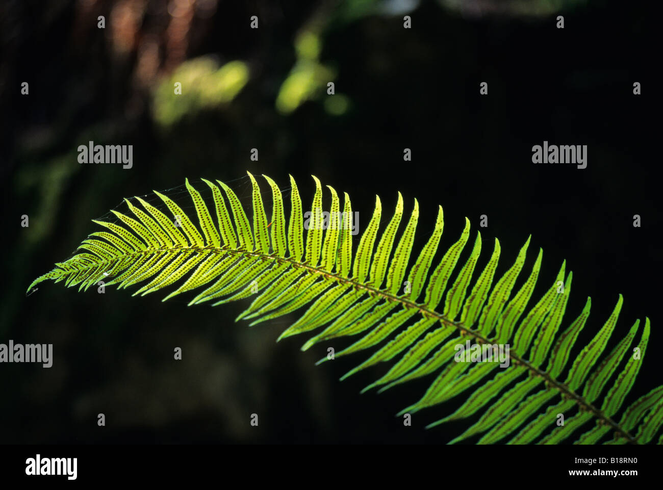 The old west landscape color hi-res stock photography and images - Alamy