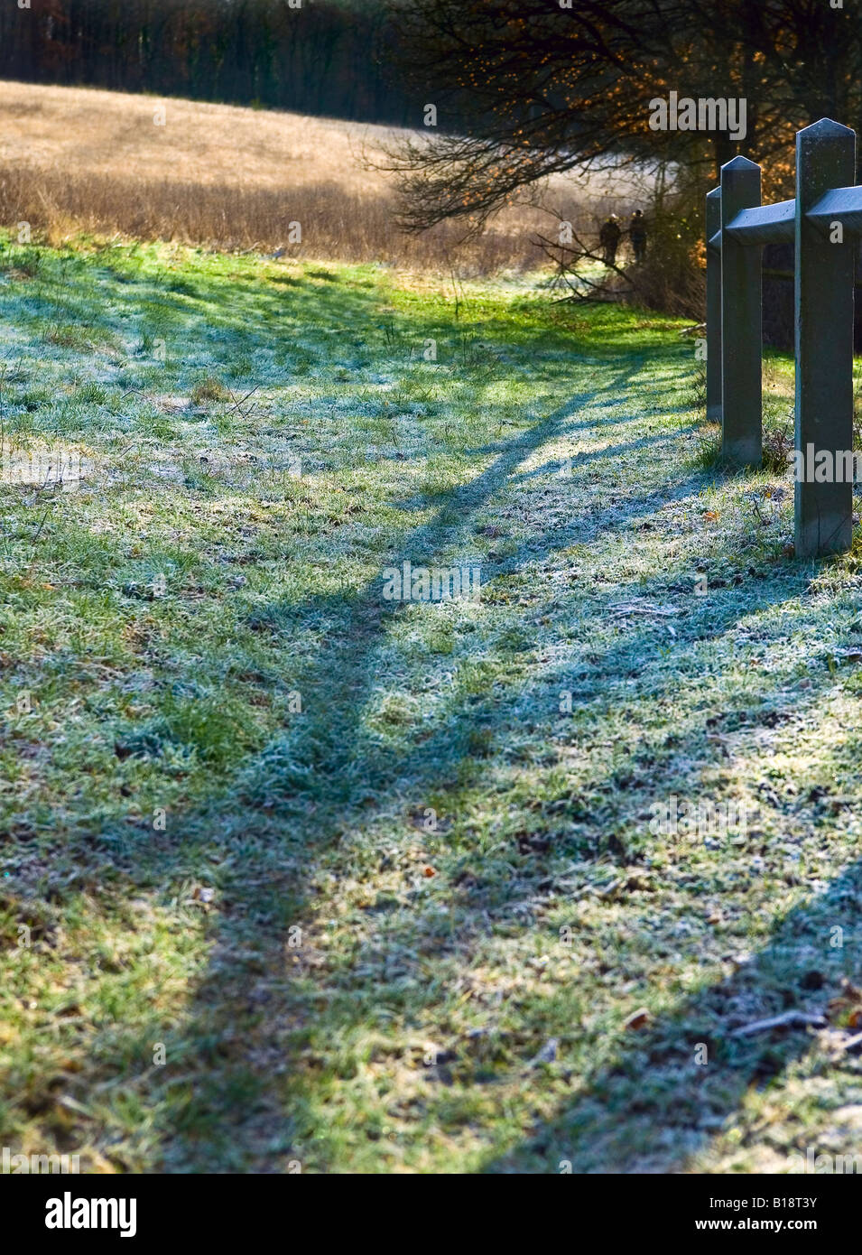 fence and shadow leading to a couple of people in the far distance ...