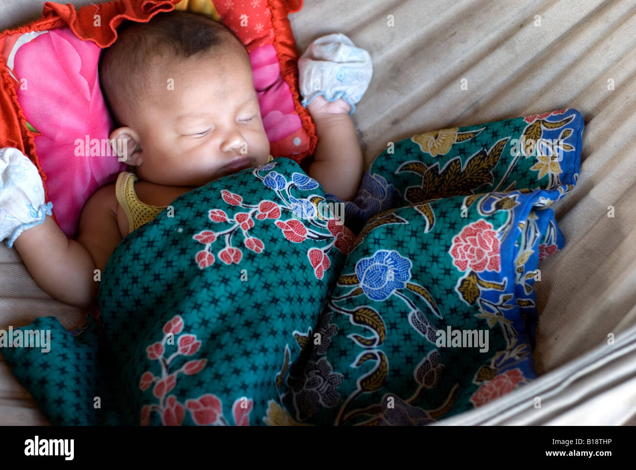 Baby cham hi-res stock photography and images - Alamy