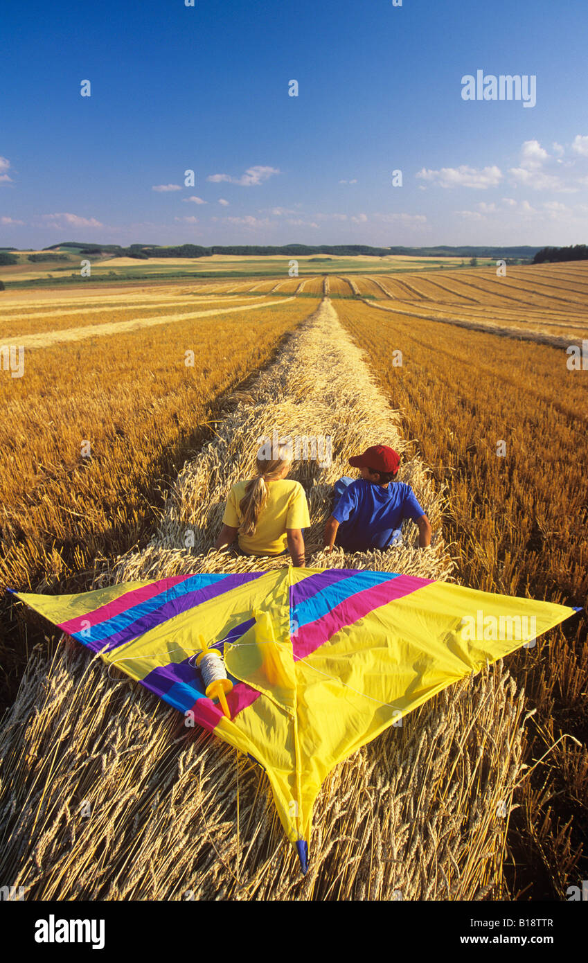 Swath rows hi-res stock photography and images - Alamy