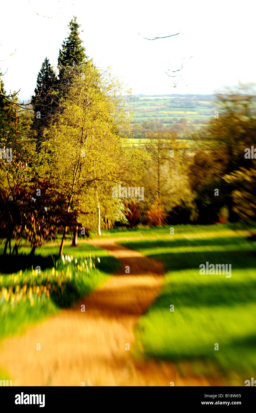 Path in Batsford Arboretum in the Cotswolds Stock Photo - Alamy