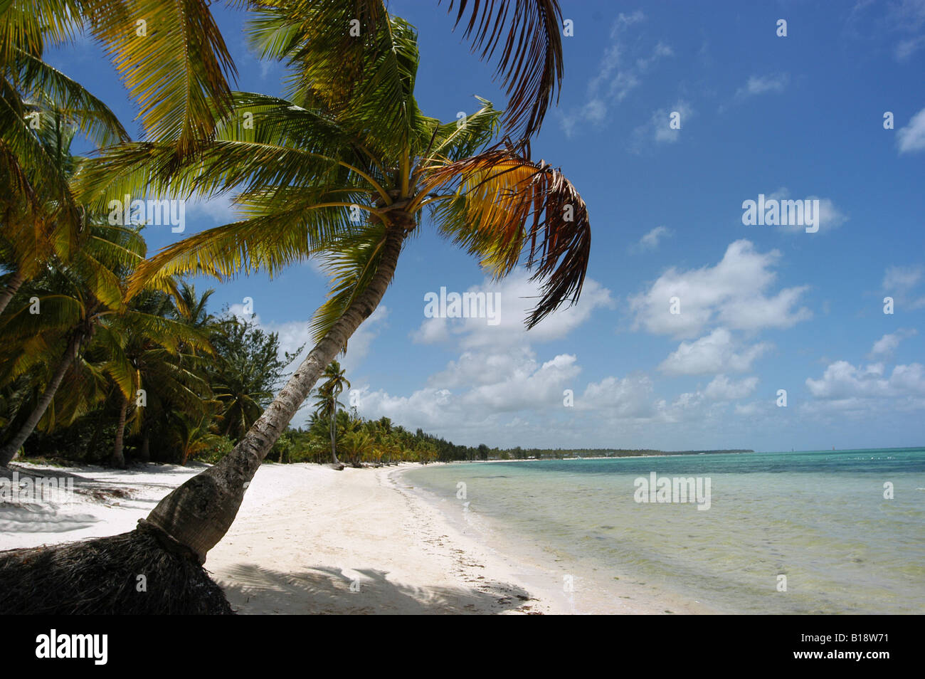 Caraibi hi-res stock photography and images - Alamy