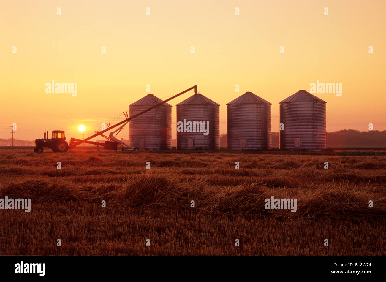Filling crop storage bins with winter wheat hi-res stock photography ...
