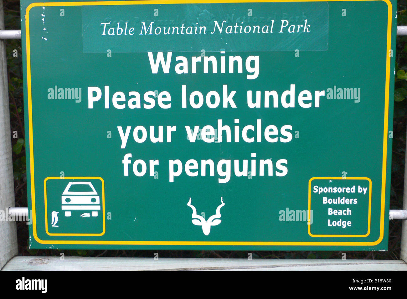 Penguin Warning Sign, SImonstown, South Africa Stock Photo - Alamy