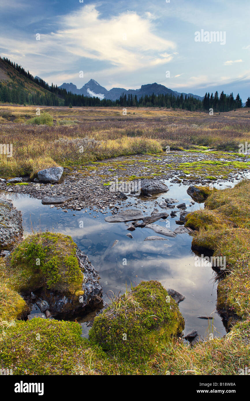 Spray Lakes Provincial Park Kananaskis Country Alberta, Canada Stock ...