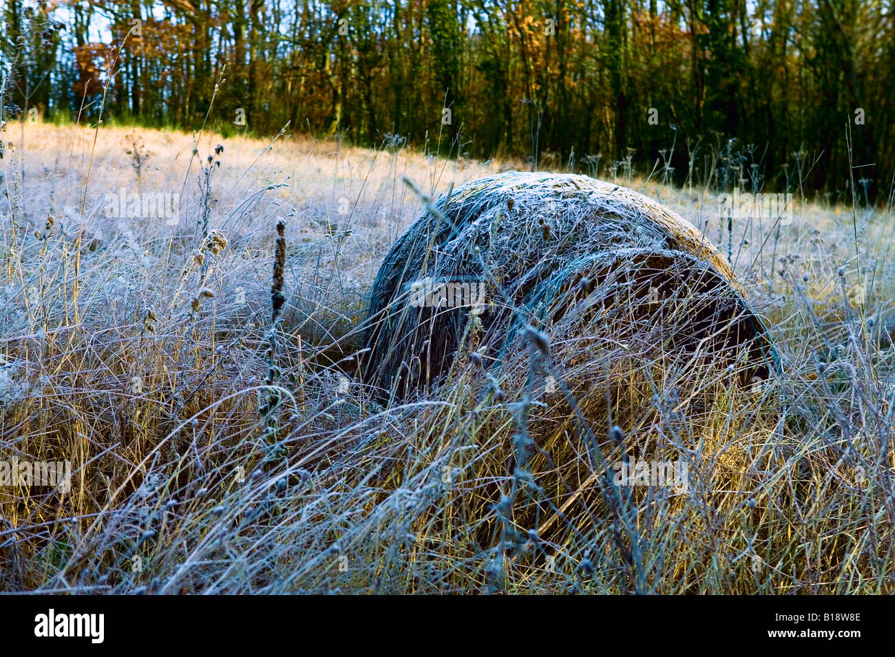 haystack in winter light Stock Photo - Alamy