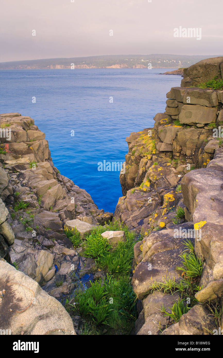 Digby gut hi-res stock photography and images - Alamy
