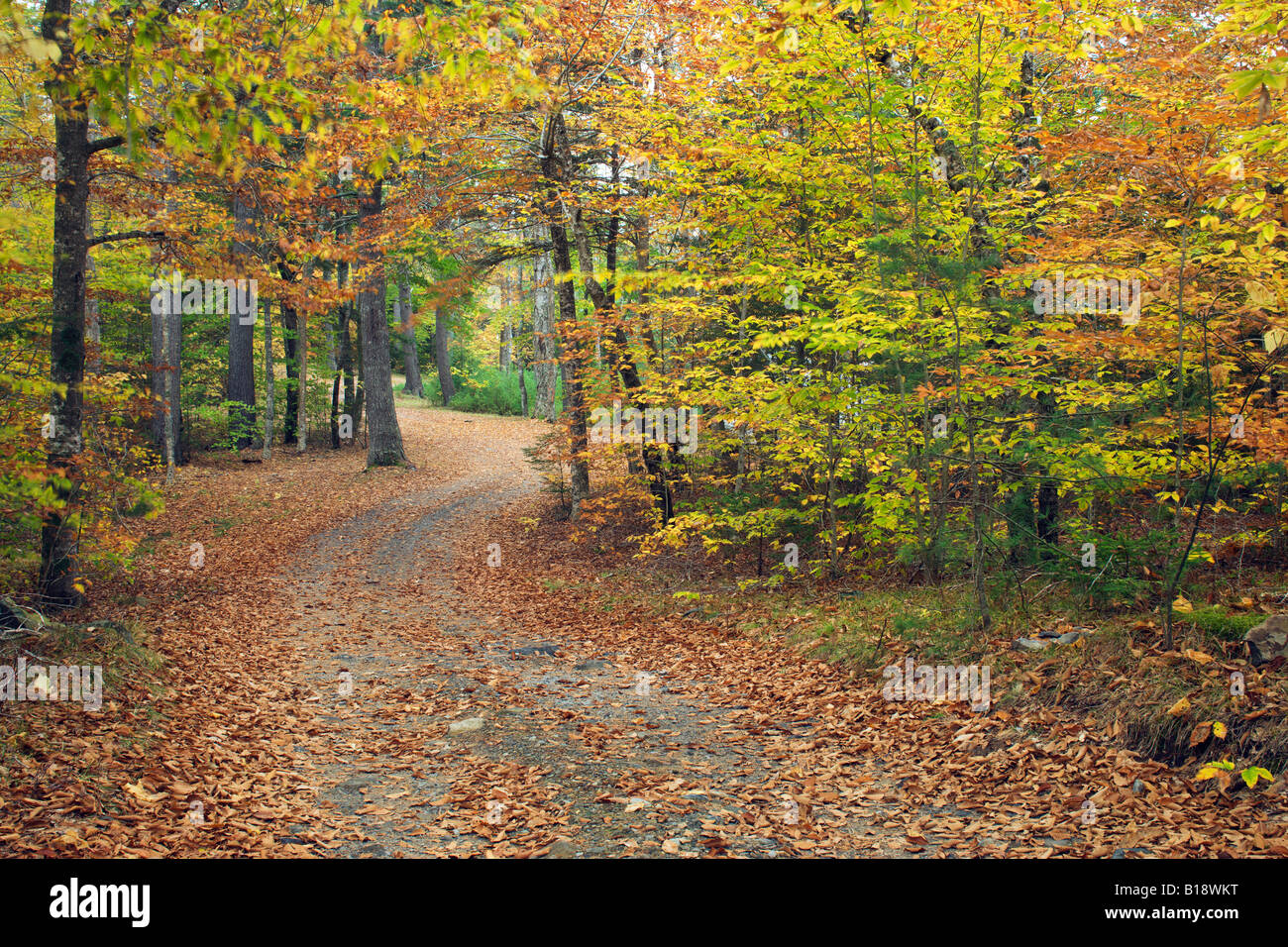 Milton falls hi-res stock photography and images - Alamy