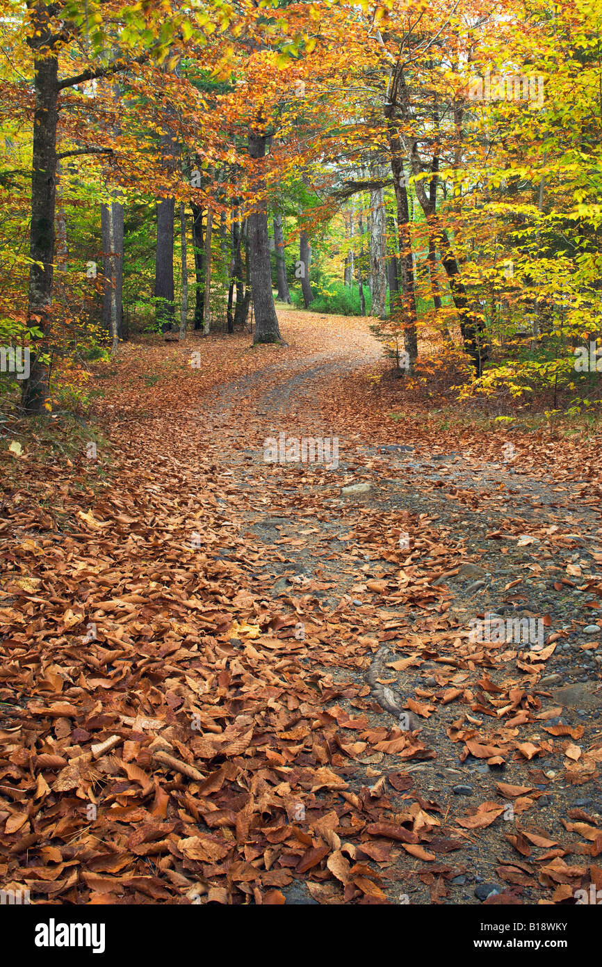 Milton nova scotia hi-res stock photography and images - Alamy