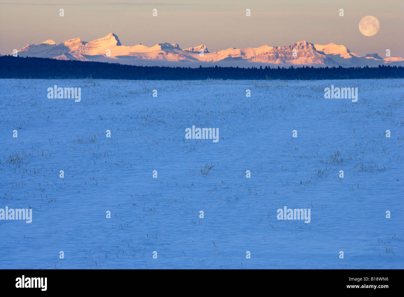 Darwin full moon hi-res stock photography and images - Alamy