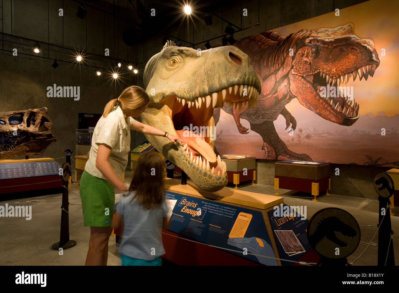 Inside the T-rex Discovery Centre, Eastend, Saskatchewan, Canada Stock ...