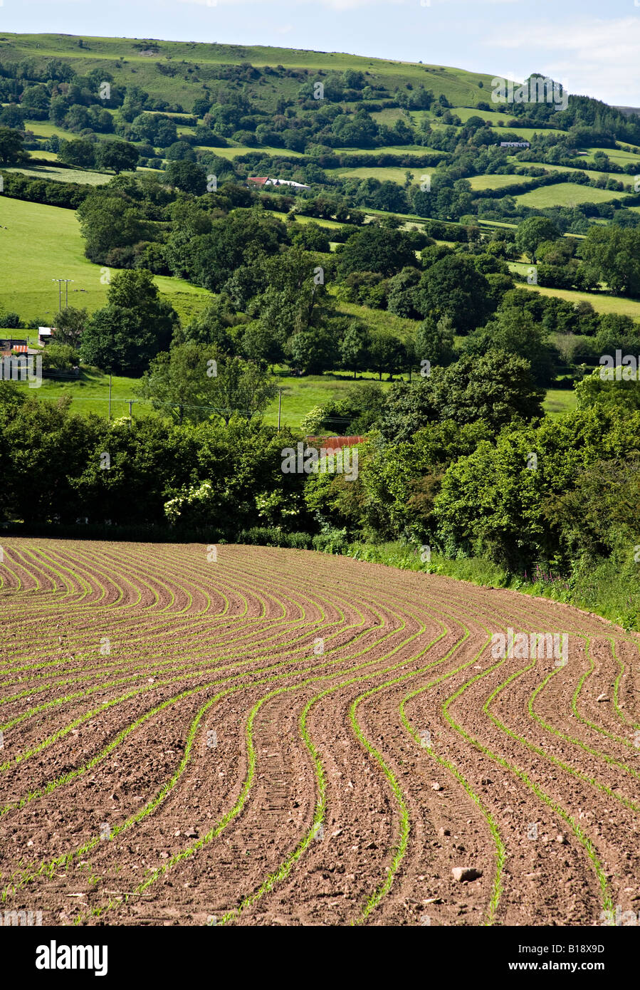 Planted ground hi-res stock photography and images - Alamy