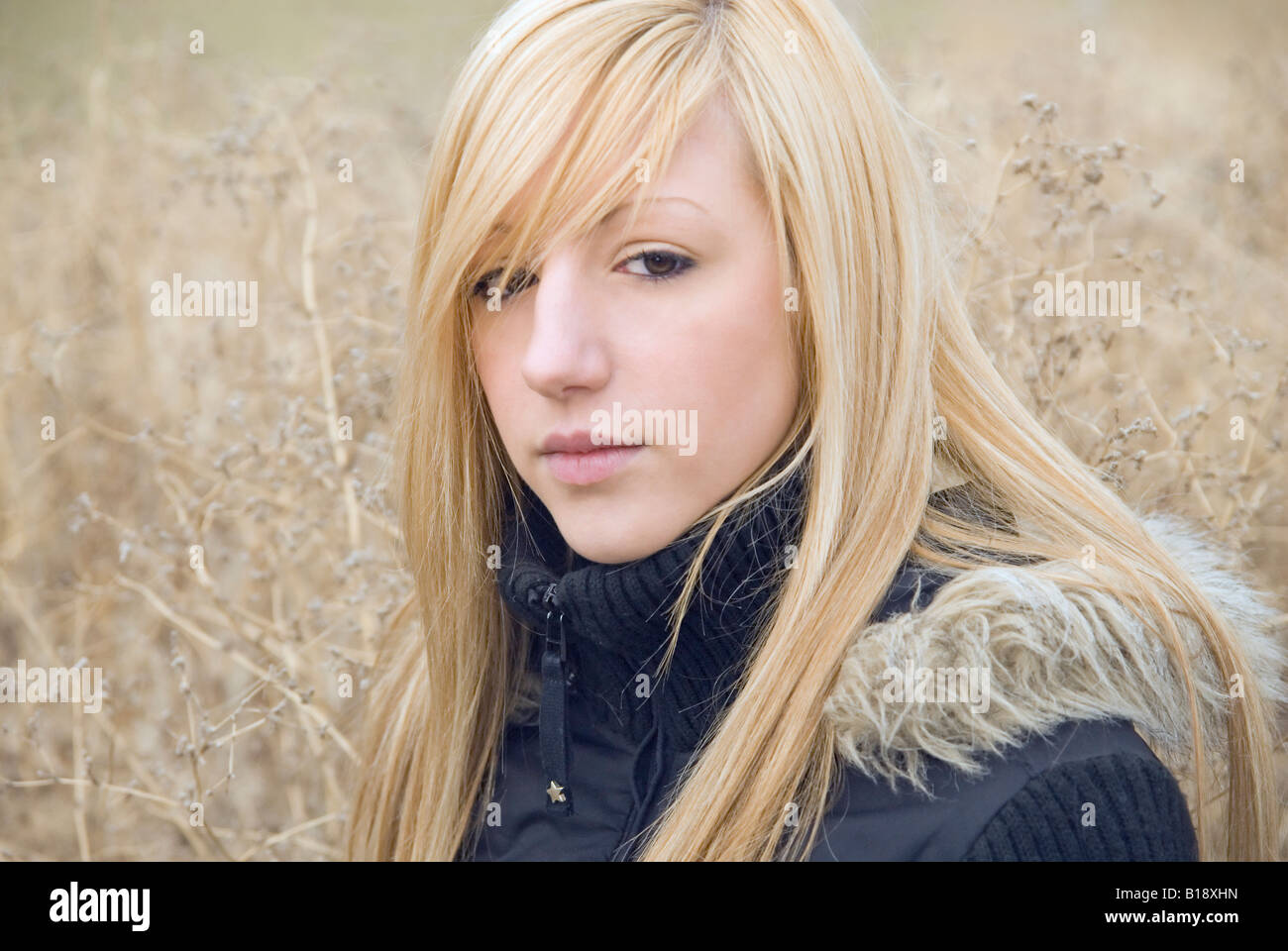 The caucasian provinces hi-res stock photography and images - Alamy