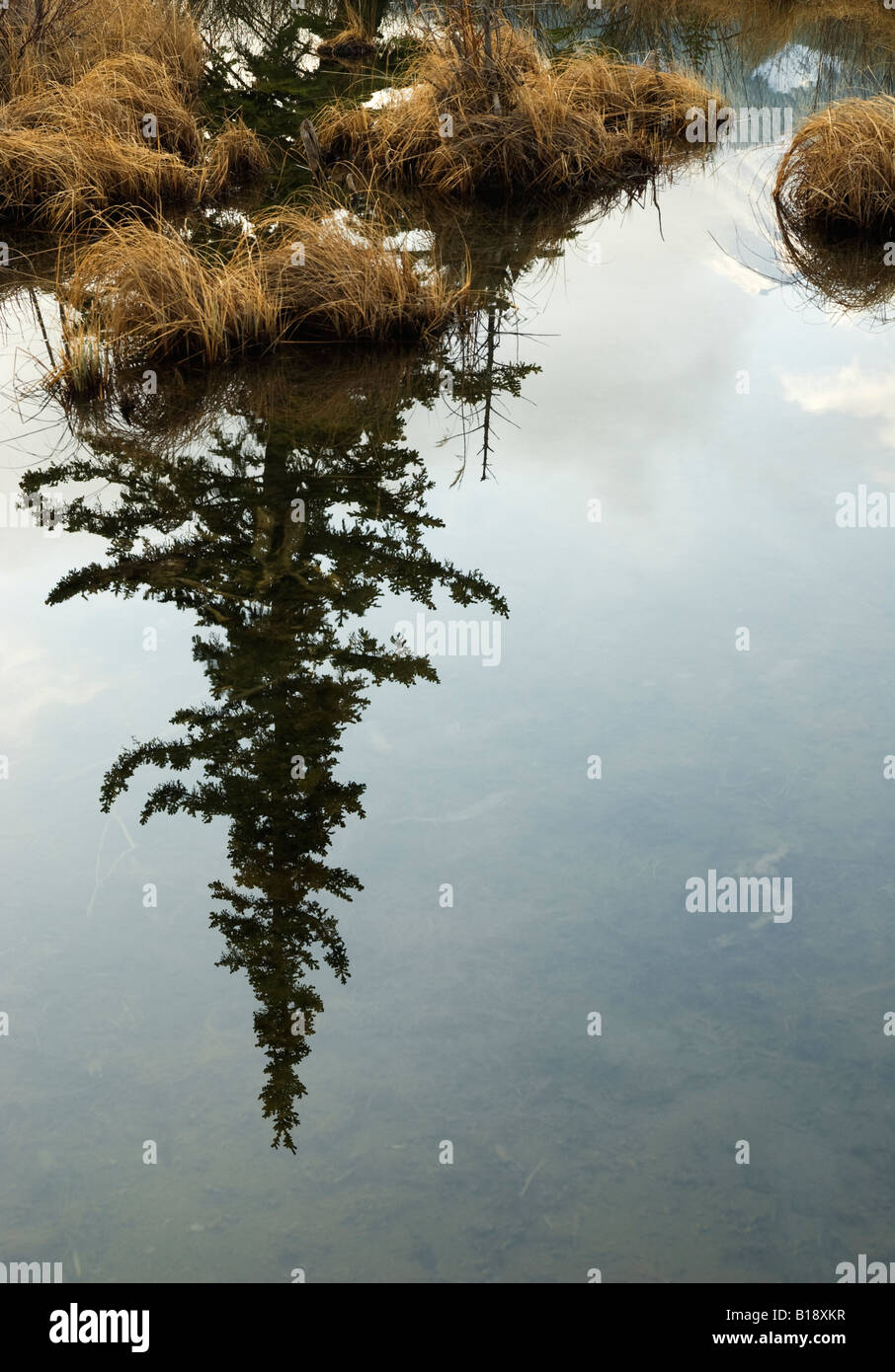 Talbot Lake, Jasper National Park, Alberta, Canada Stock Photo - Alamy