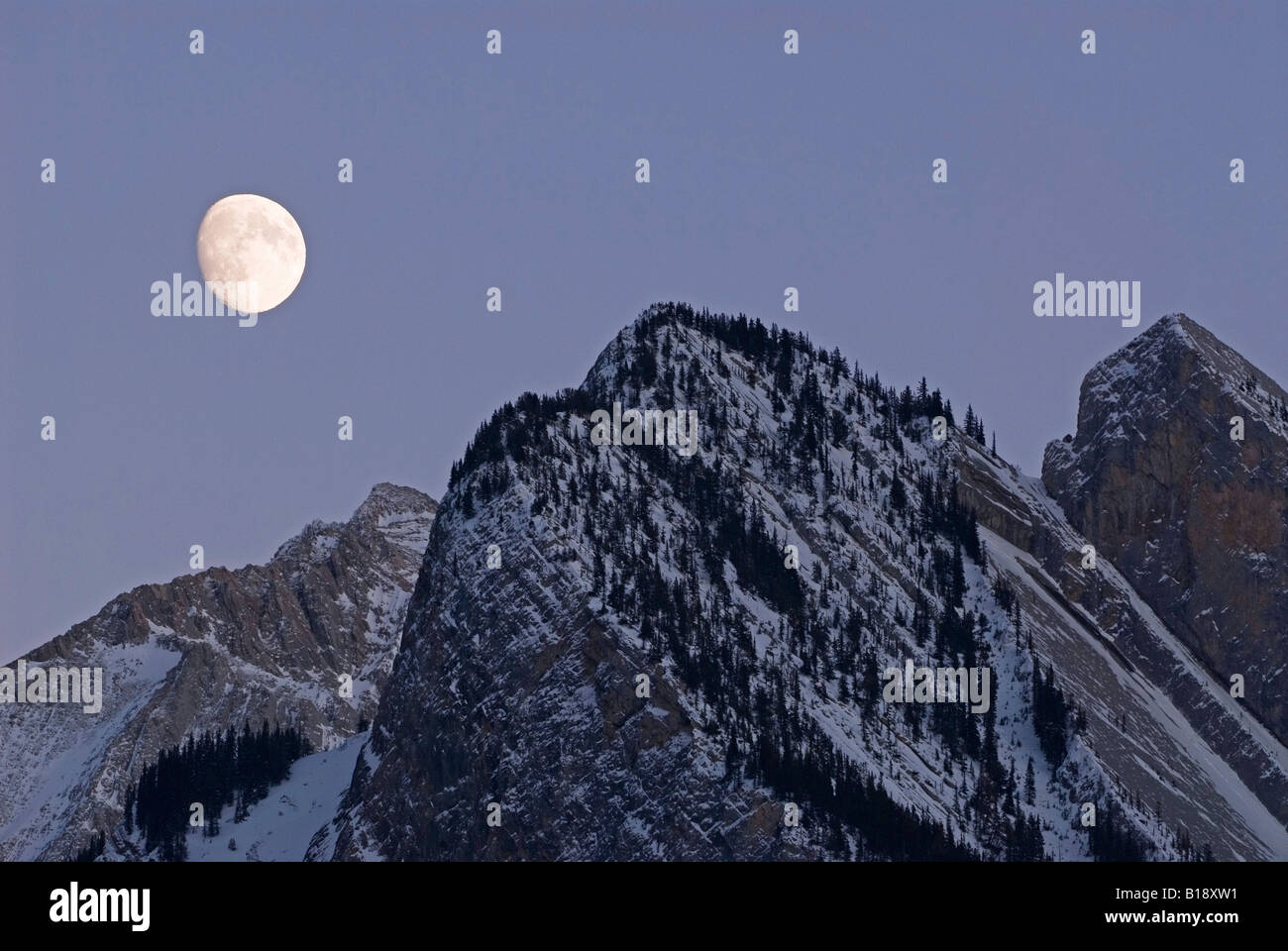 Jasper moon hi-res stock photography and images - Alamy