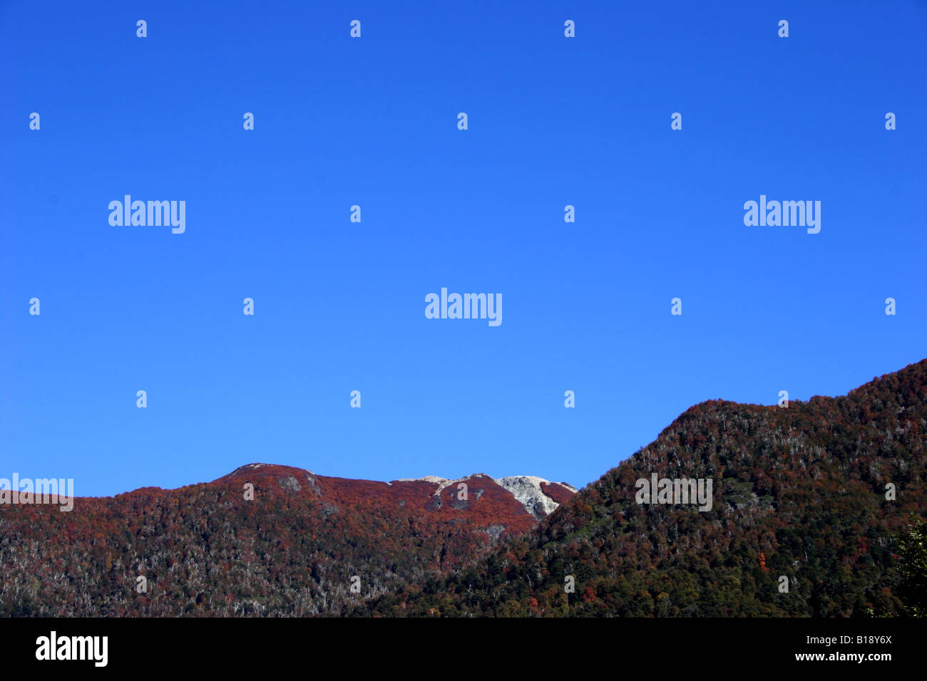 Fall forest & sky Stock Photo - Alamy