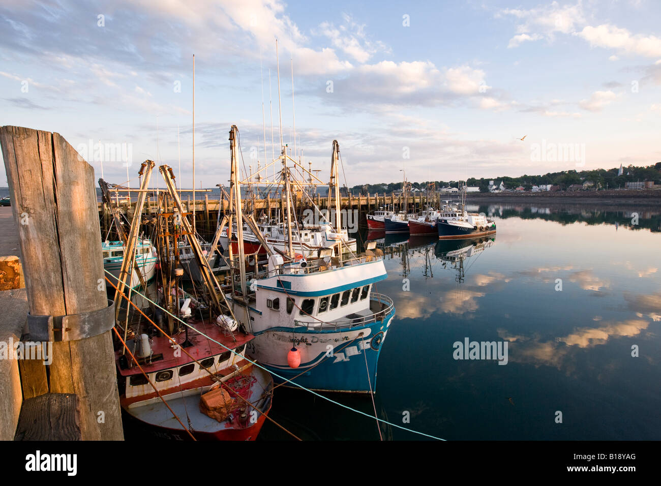 Scallop Fleet at fisherman's wharf (one of North America's largest ...