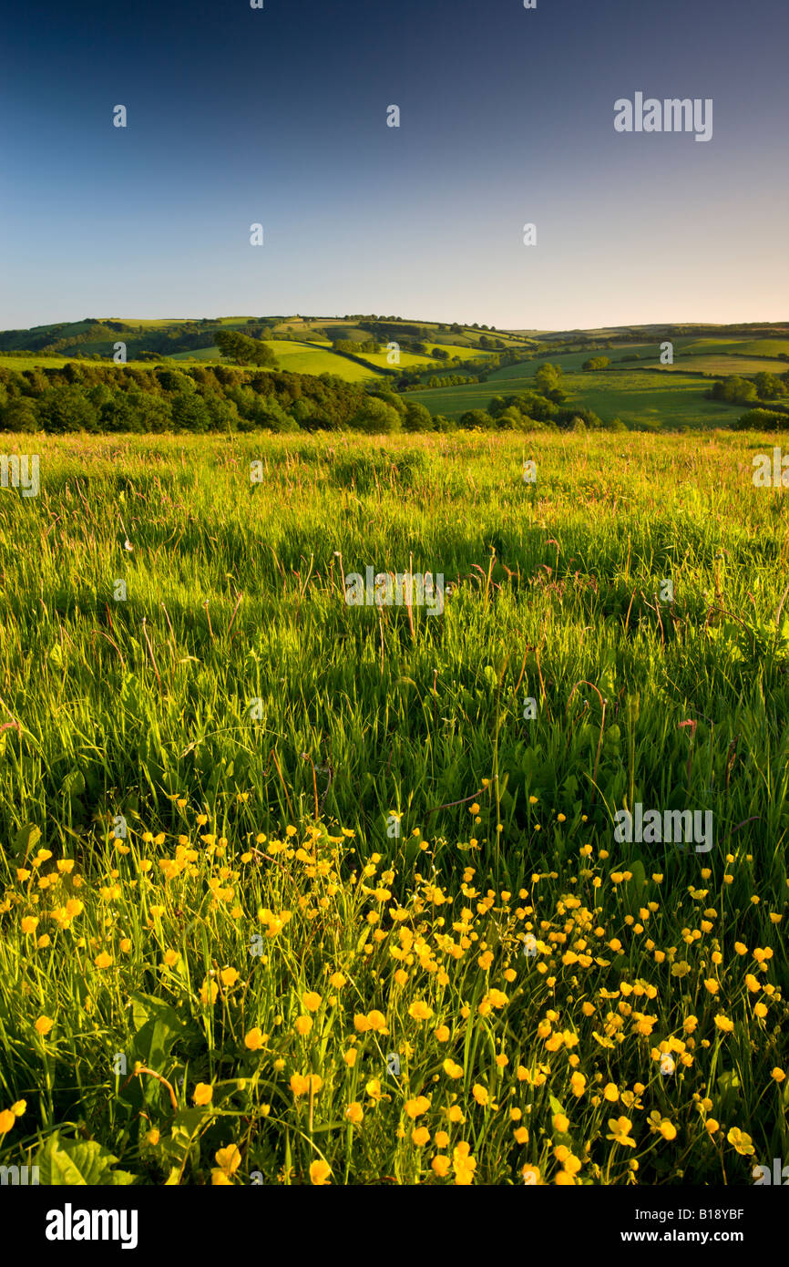 Rolling countryside near Wheddon Cross Exmoor National Park Somerset ...