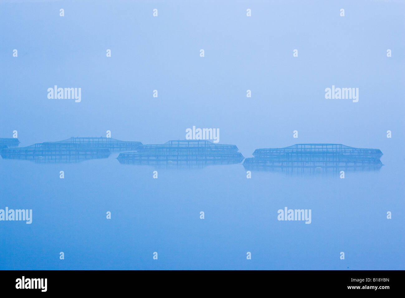 Digby farm hi-res stock photography and images - Alamy