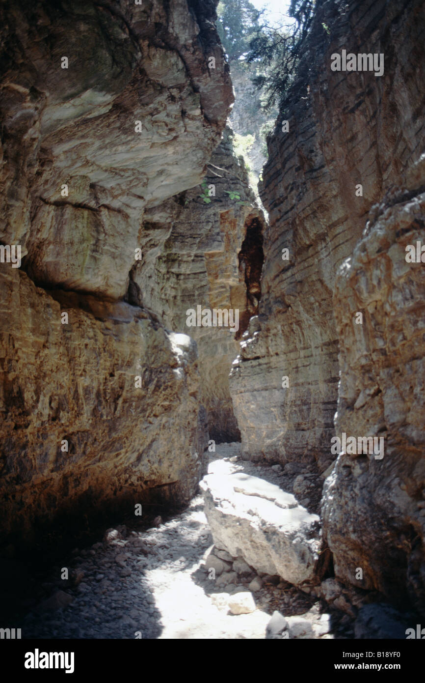 Walk through narrow rock canyon hi-res stock photography and images - Alamy