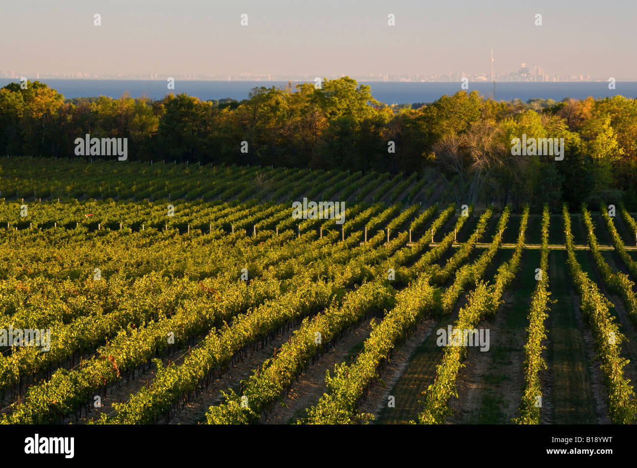 Rock cellars hi-res stock photography and images - Alamy
