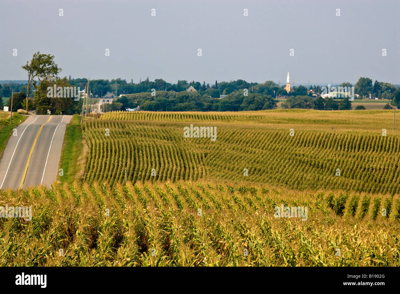 Corn field and village of Heidelburg, Ontario, Canada Stock Photo - Alamy