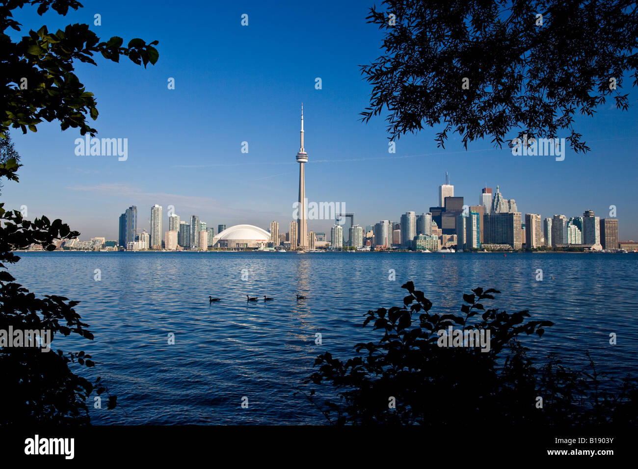Toronto business centre streets hi-res stock photography and images - Alamy