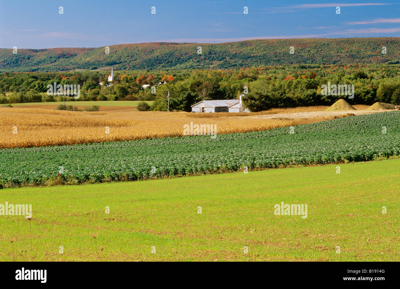 Nova scotia countryside hi-res stock photography and images - Alamy
