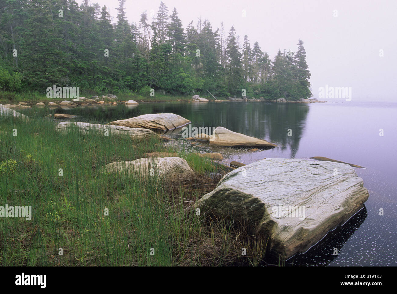 Taylor head provincial park hi-res stock photography and images - Alamy