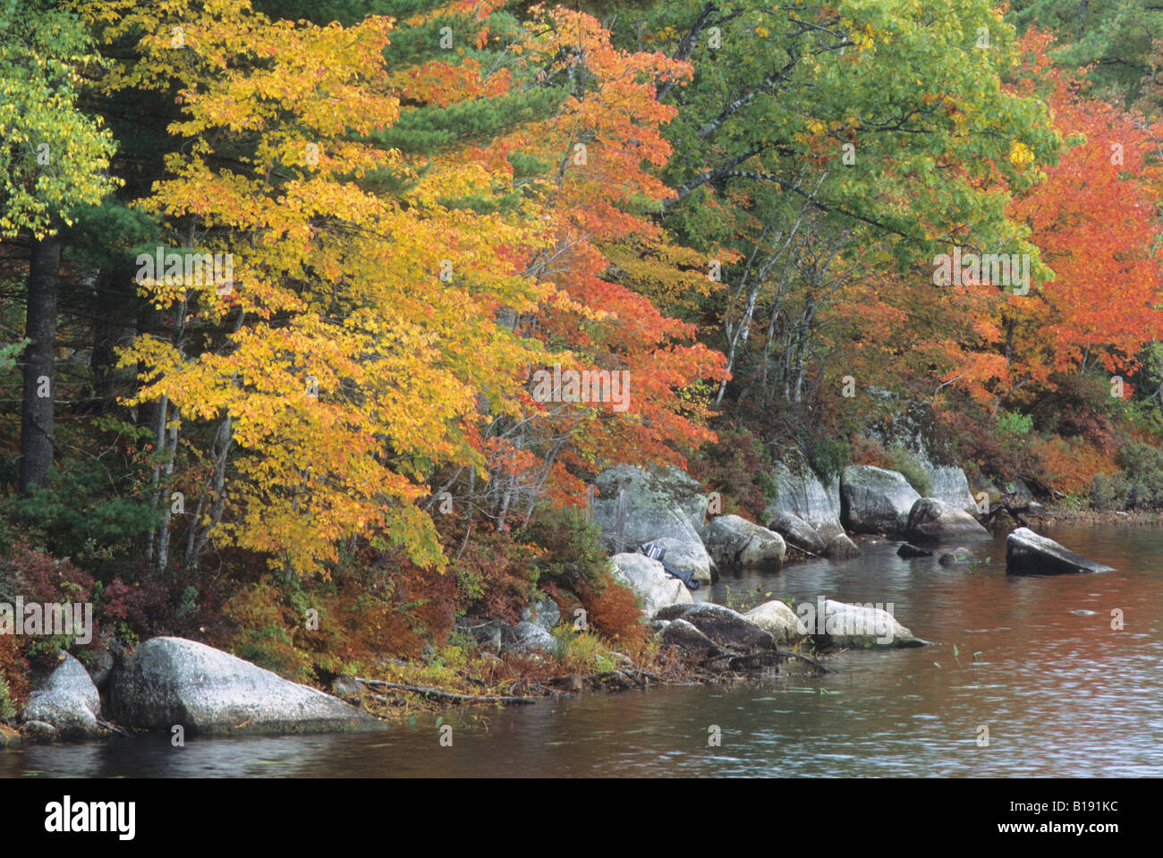 Fall foliage, Brooklyn, Nova Scotia, Canada Stock Photo - Alamy
