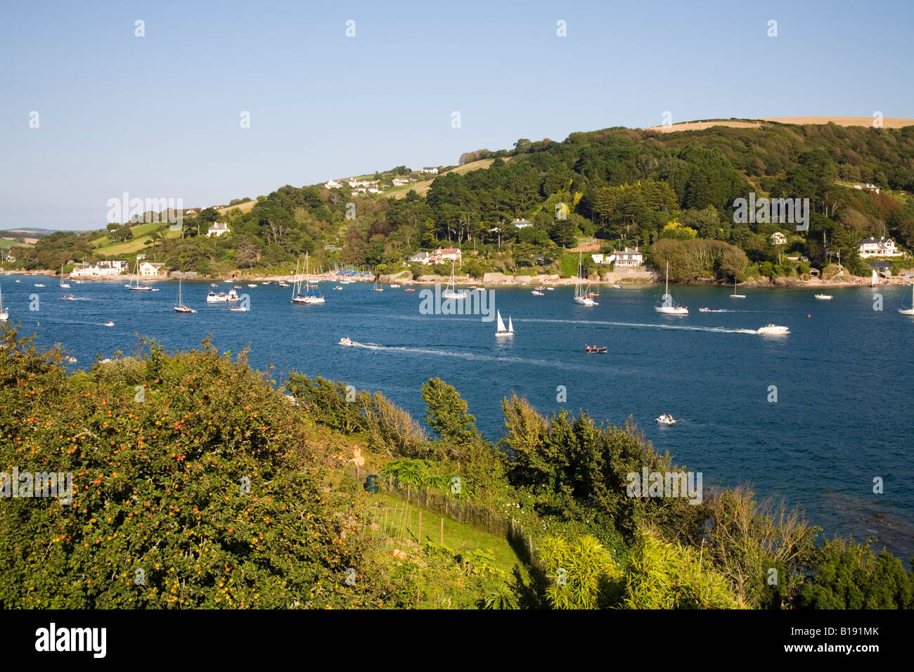 devon salcombe river estuary Stock Photo - Alamy