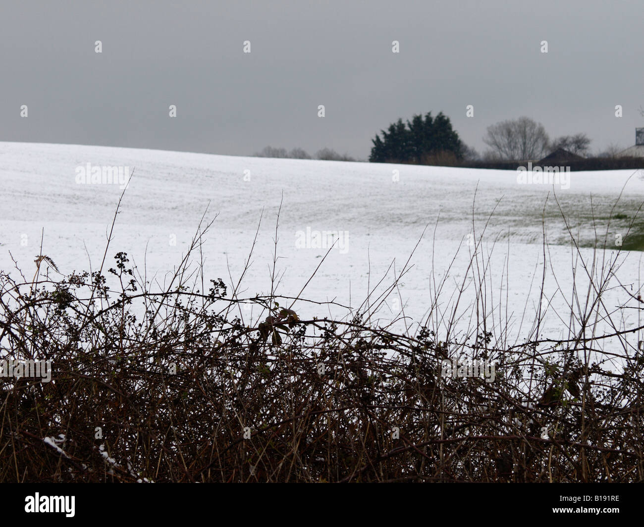 Winter essex uk hi-res stock photography and images - Alamy