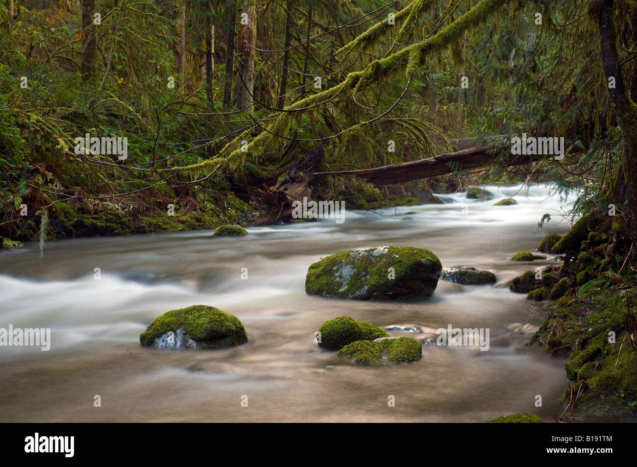Goldstream River at Goldstream Provincial Park, Victoria, British ...