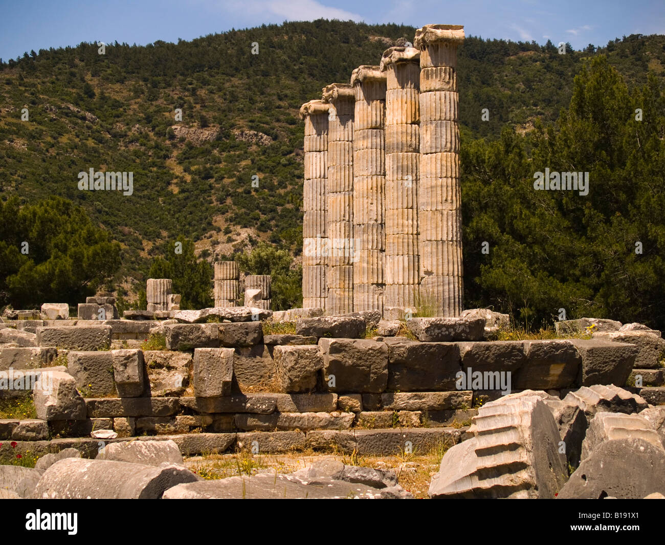 Columns of the Athena Temple, Priene, Turkey Stock Photo - Alamy